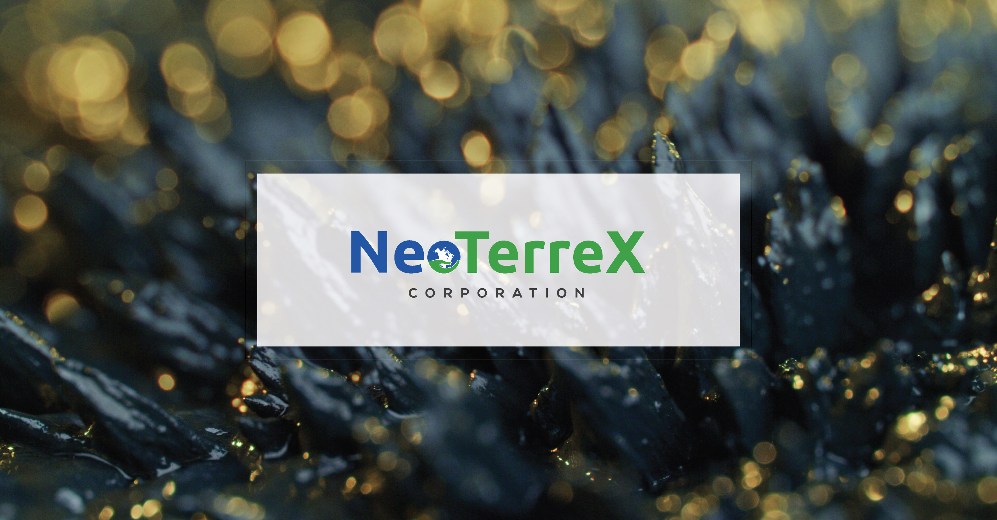 News Releases | NeoTerrex